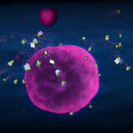 Particle Systems IV Animation